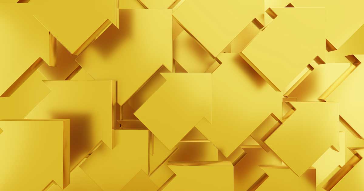 GMID’s Canadian origins: Getting to know Kathy Fortier | MPI